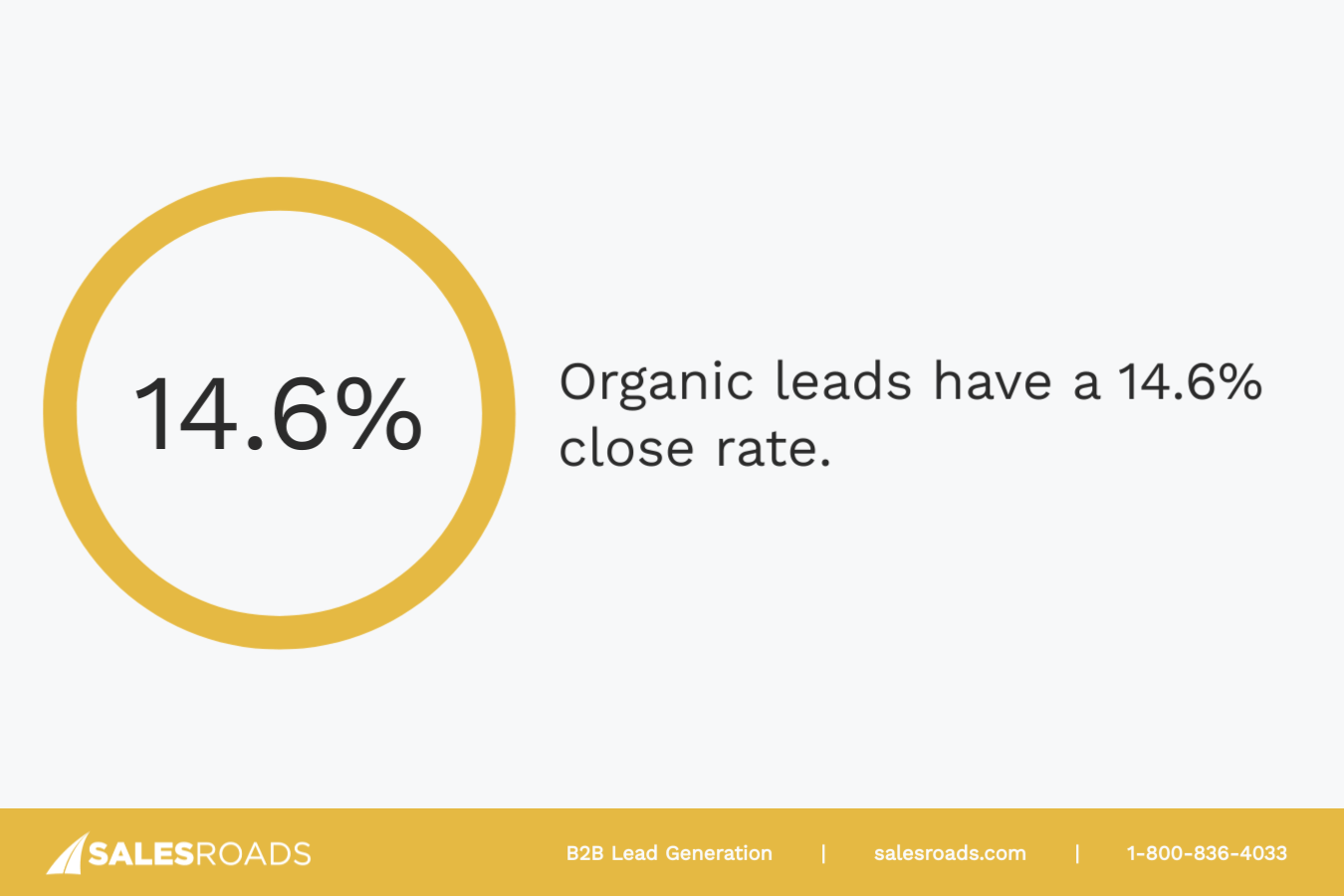 B2B Organic Lead Generation Strategies for Sustainable Business Growth