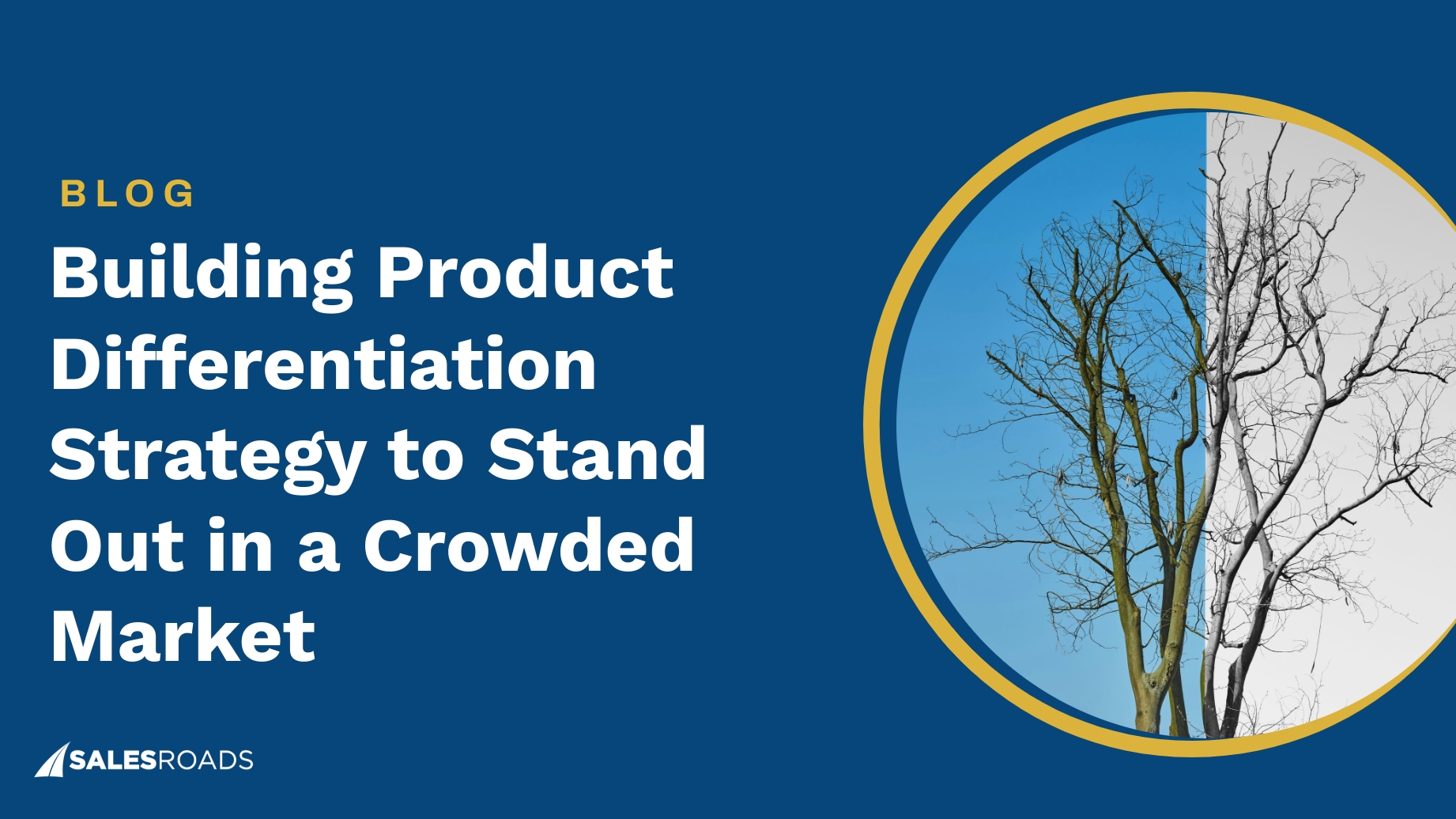 Product Differentiation Strategy to Turn You from “Just Another Option ...